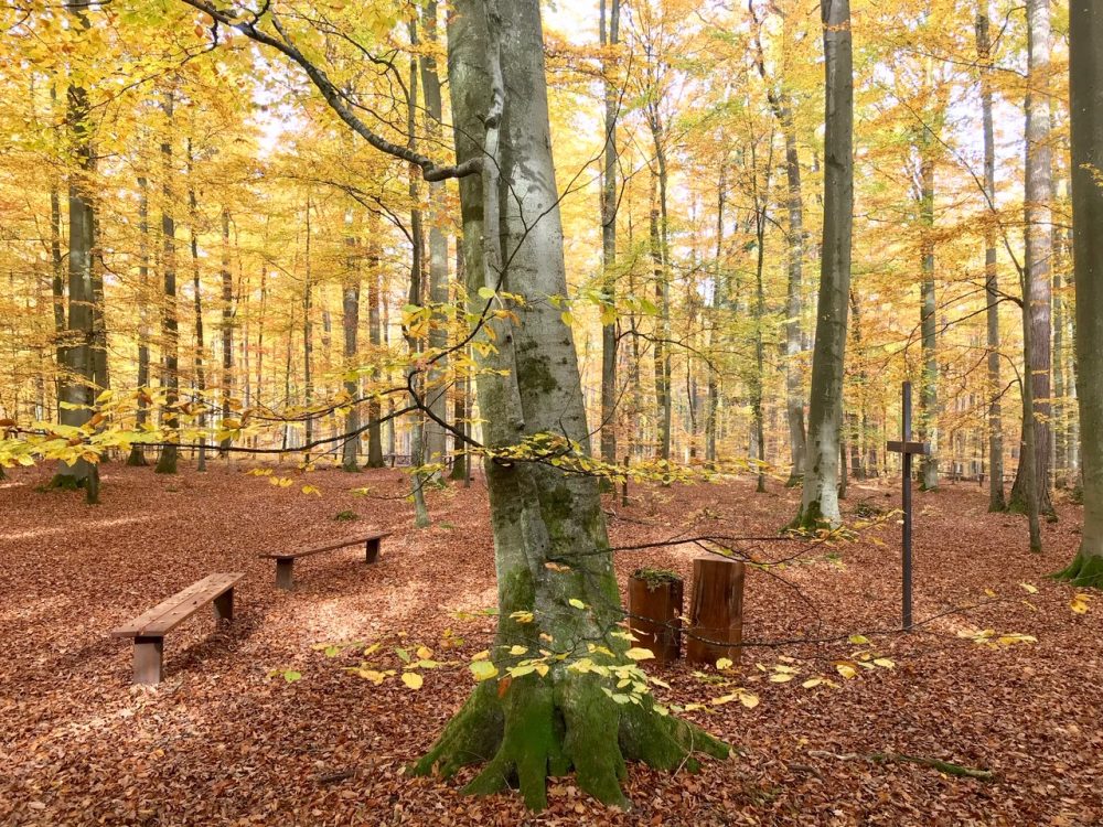 RuheForst-Standorte – RuheForst®. Ruhe finden.