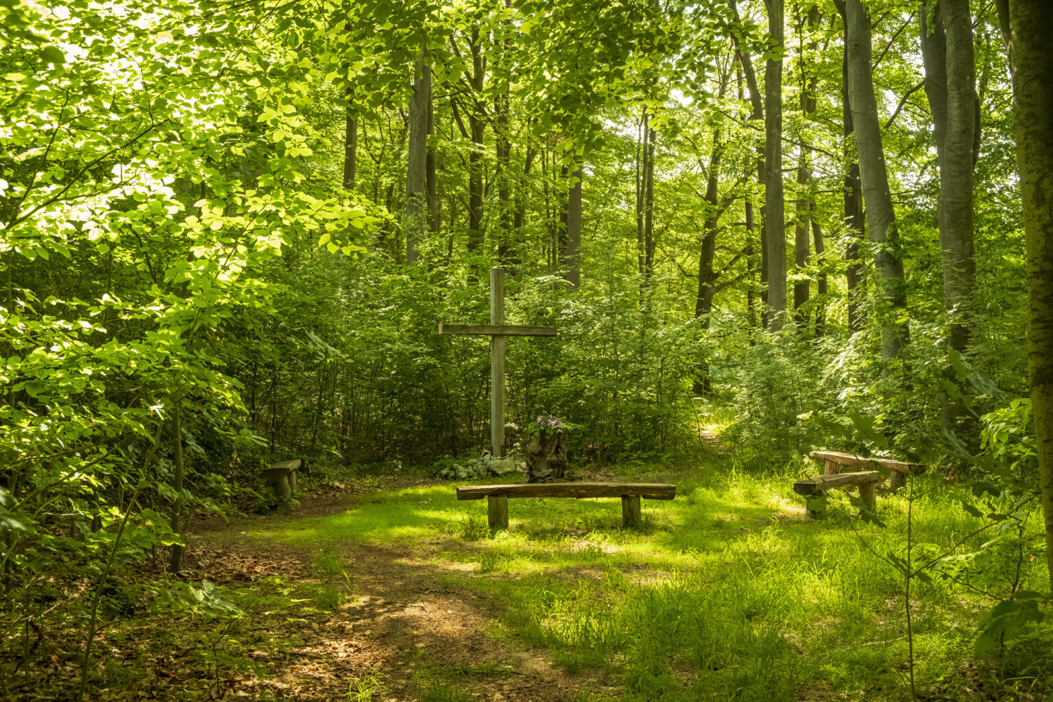 RuheForst-Standorte – RuheForst®. Ruhe finden.